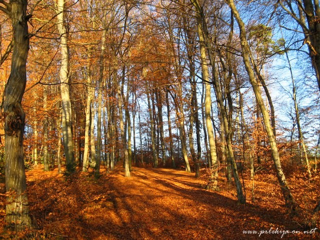 O Prlekiji | Prlekija-on.net Ljutomer