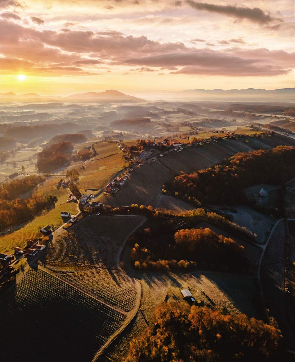 Vinarji s Koga želijo svoja vina postaviti na vinski zemljevid ...